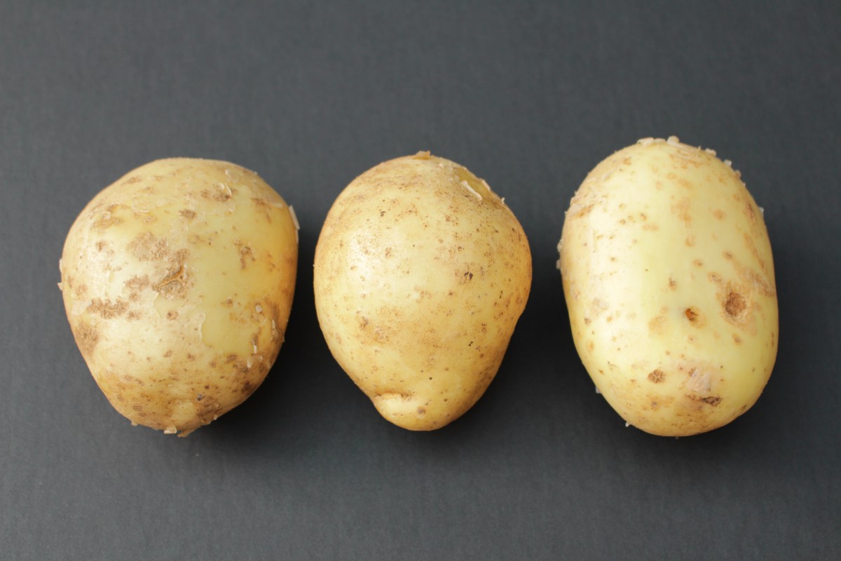 Potato – Winston – Tabula Rasa